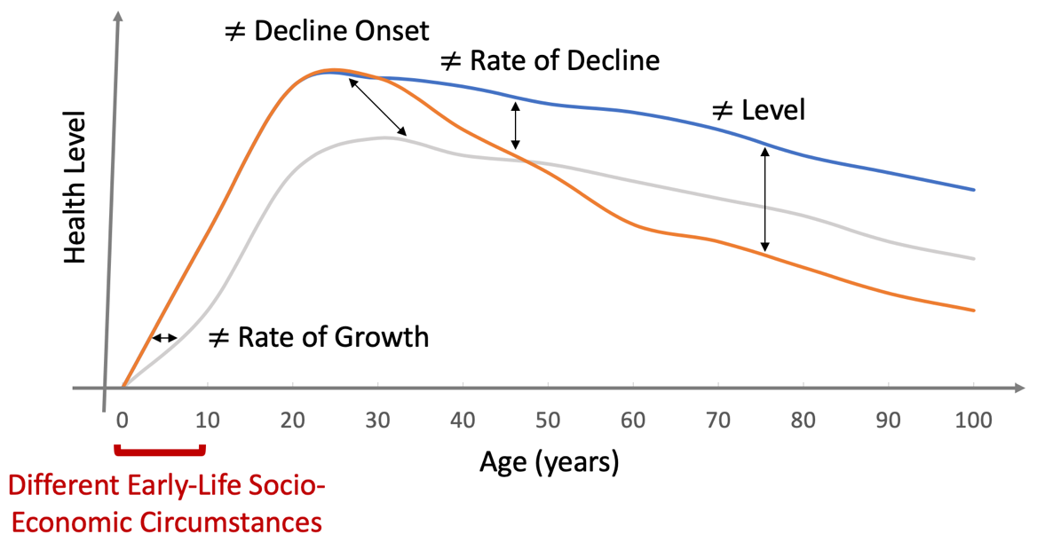 EARLY-LIFE SOCIOECONOMIC CIRCUMSTANCES EXPLAIN HEALTH DIFFERENCES IN ...